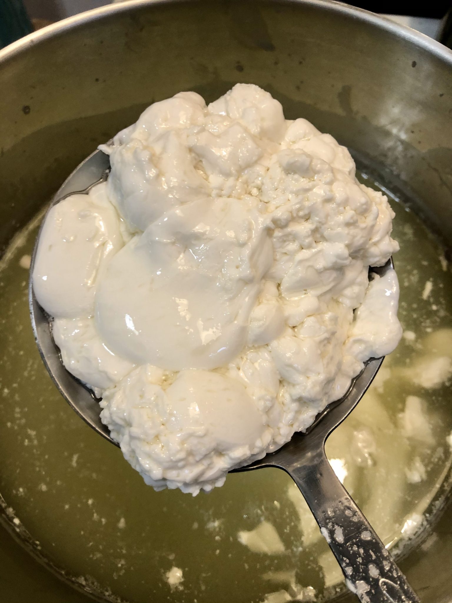 How to Make Quick Oaxaca Cheese