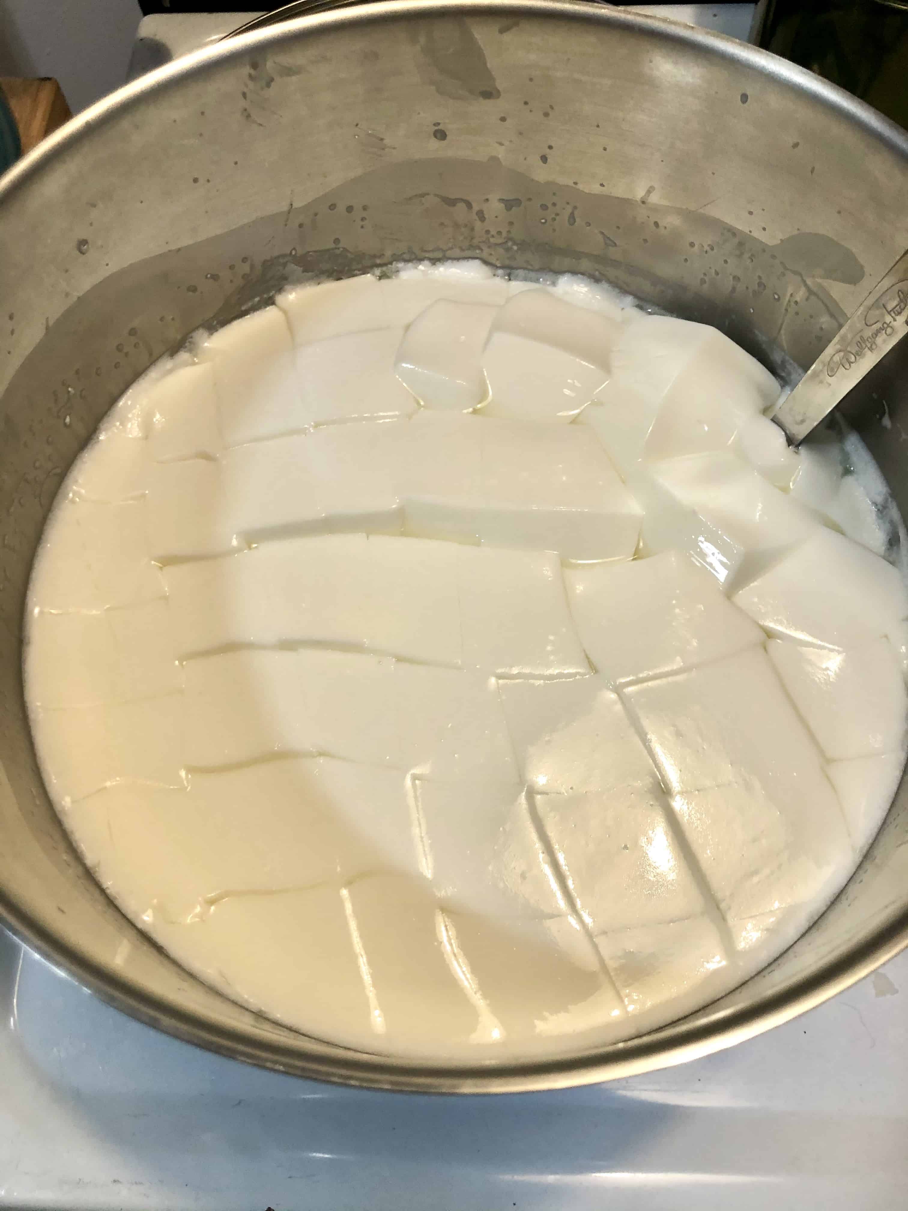 How to Make Quick Oaxaca Cheese